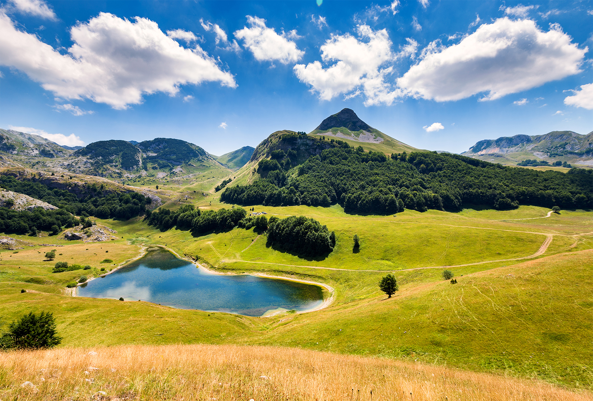 ZELENGORA RING – HIKING, SAFARI & RAFTING / 3 nights – DaliaTravel